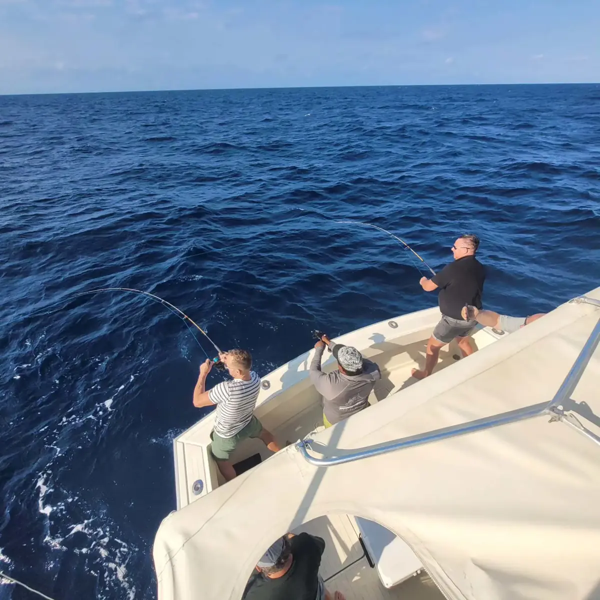 Wicked Tuna Afternoon Trip | Fish Charter Curacao - My Curacao Guide