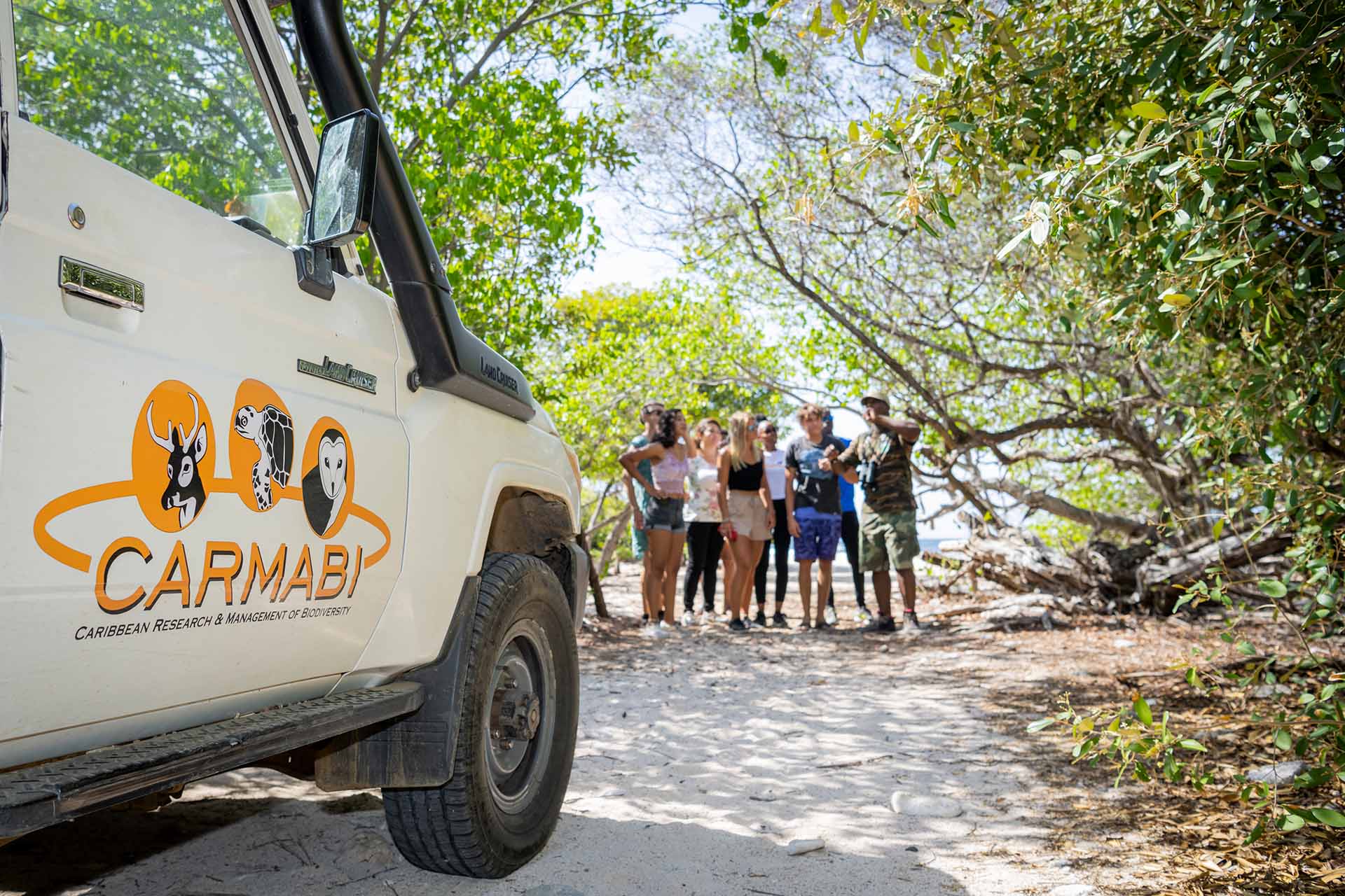 Carmabi research station - My Curacao Guide