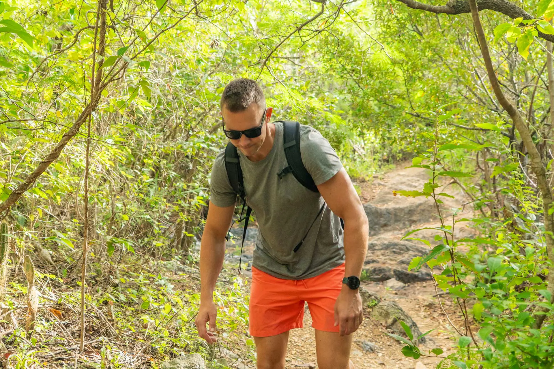 Christoffelpark in Curacao | Hiking and Nature Trails