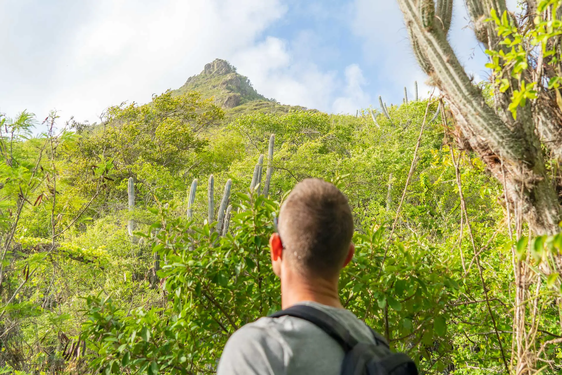 Christoffelpark in Curacao | Hiking and Nature Trails