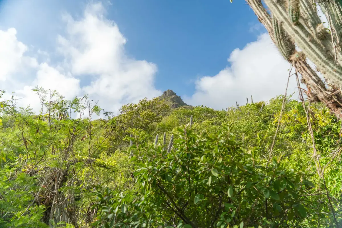 Christoffelpark in Curacao | Hiking and Nature Trails