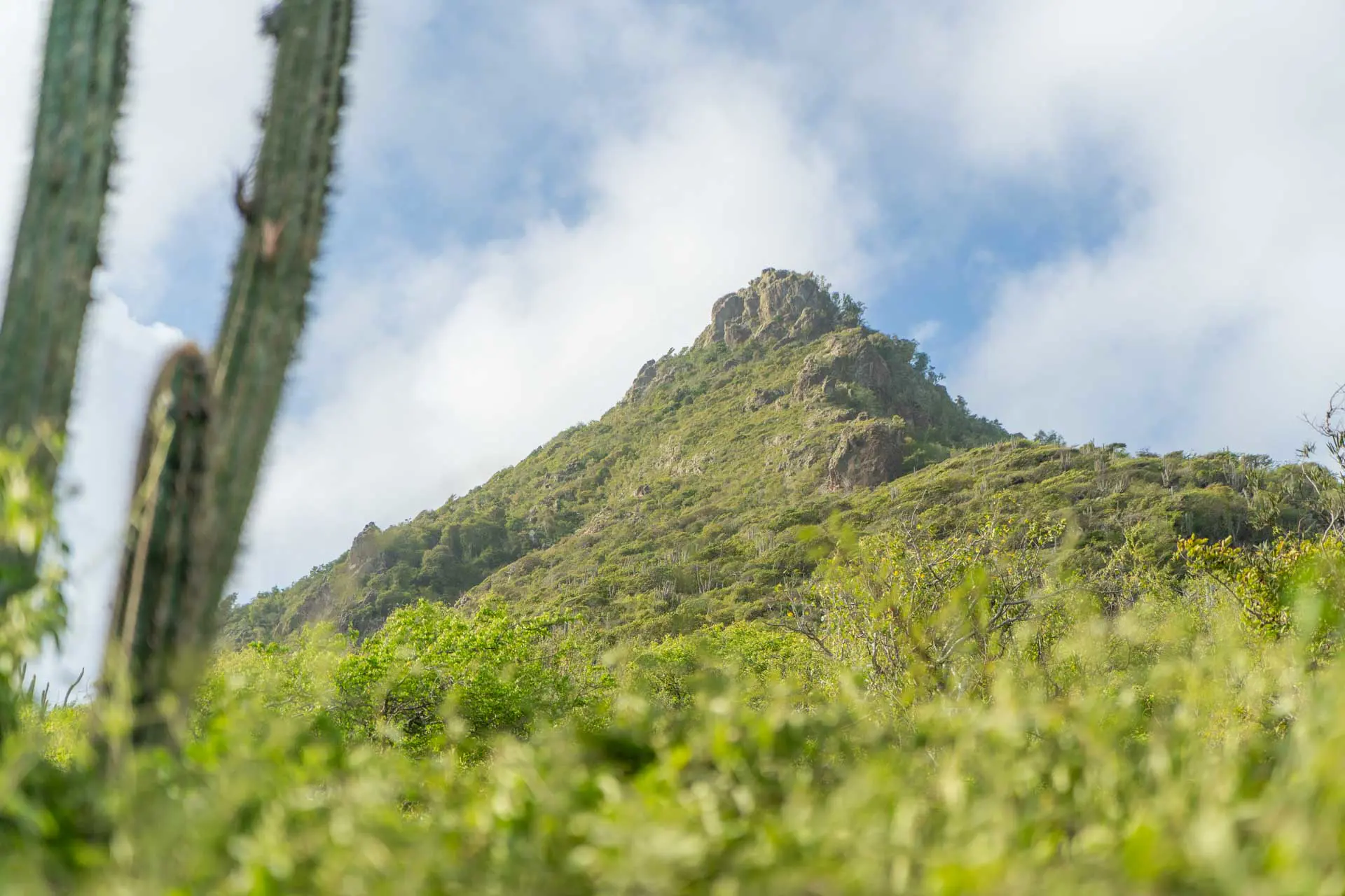 Christoffelpark in Curacao | Hiking and Nature Trails