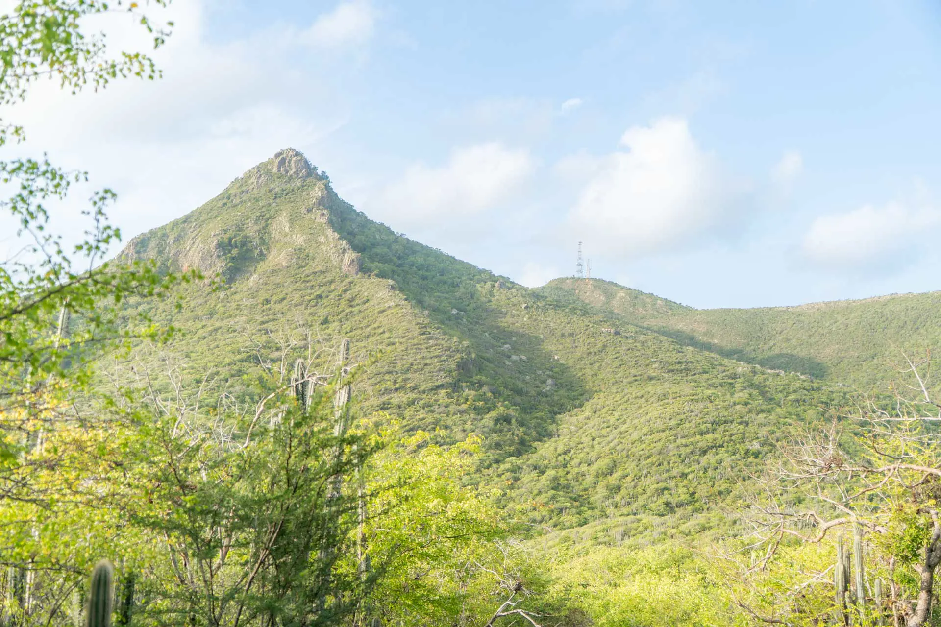 Christoffelpark in Curacao | Hiking and Nature Trails