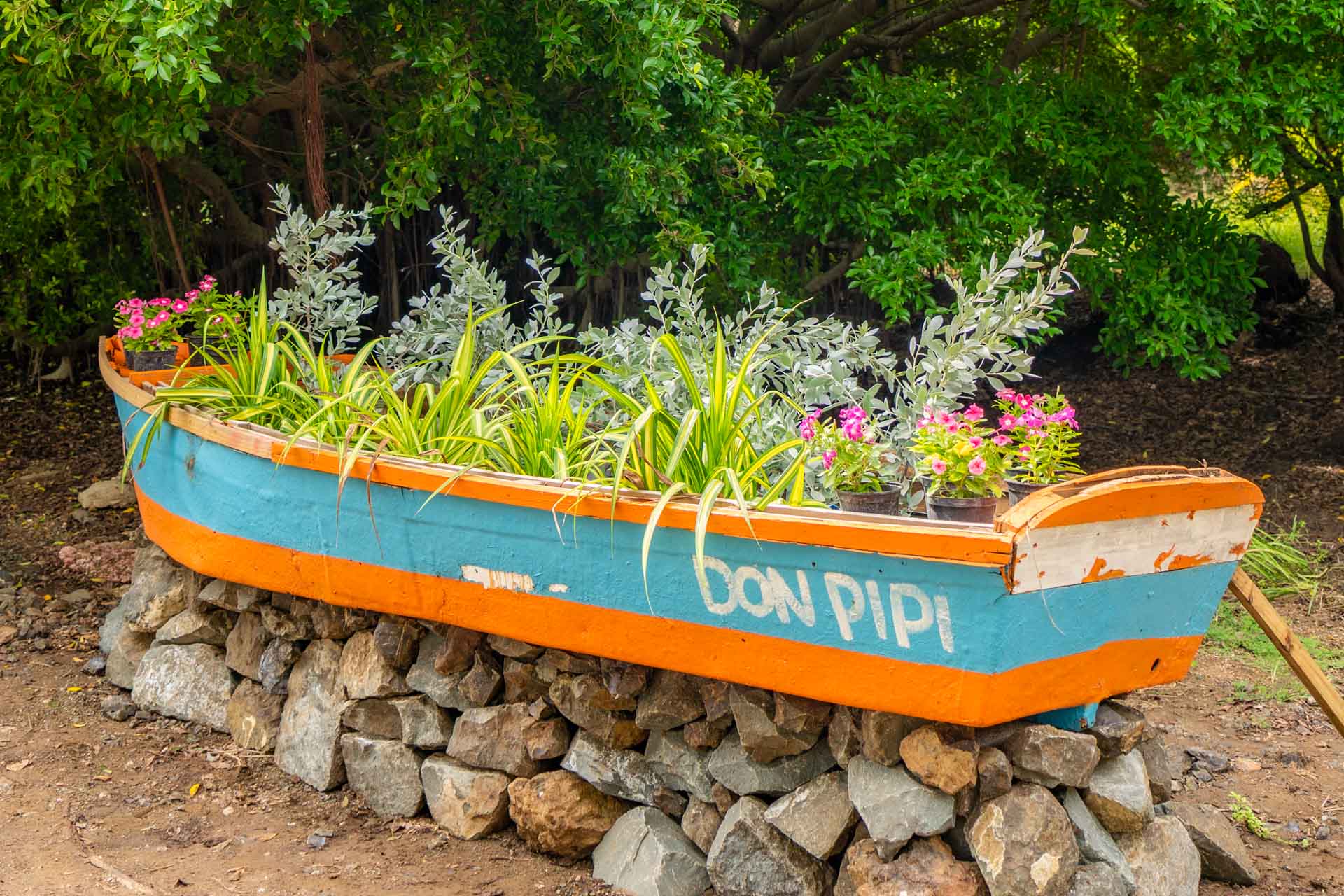 Hofi Mango in Curacao | Nature Park and Eco Pavilion