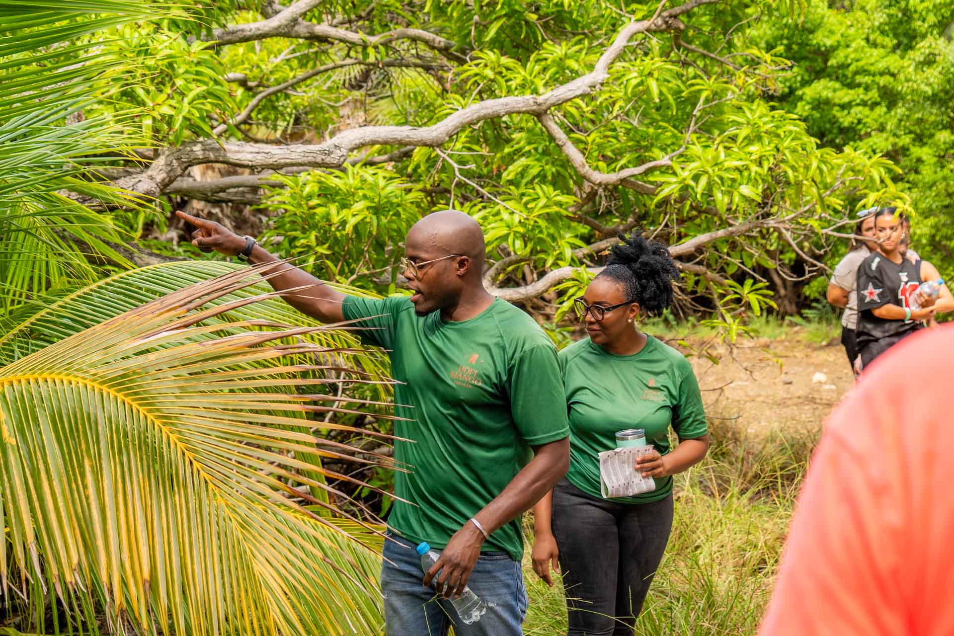 Hofi Mango - My Curacao Guide