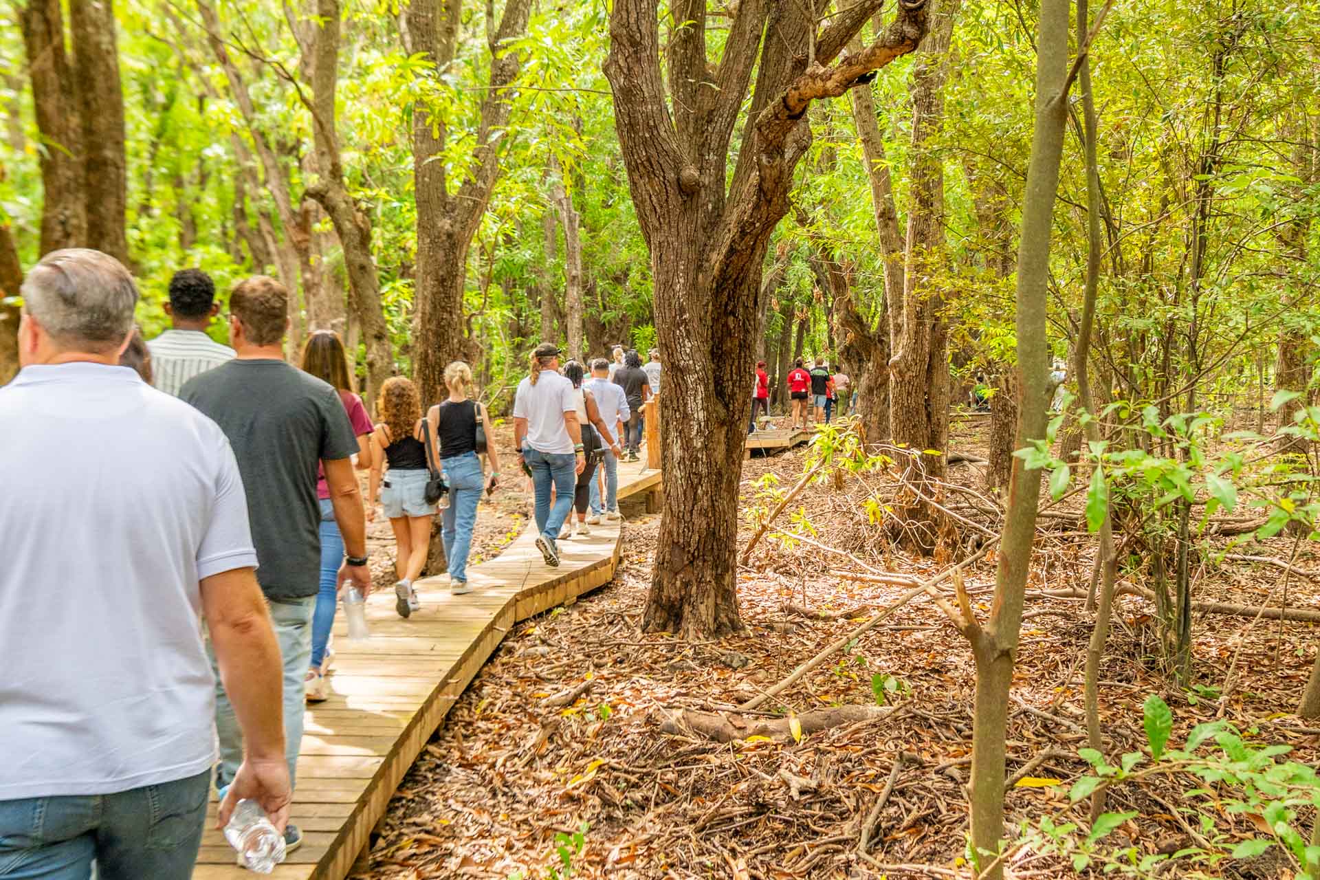 Hofi Mango - My Curacao Guide