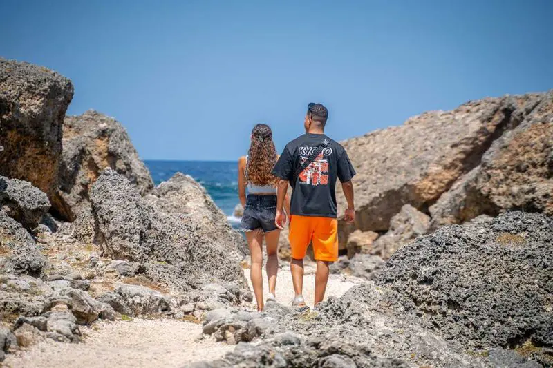 Daytime Island Bus Tours