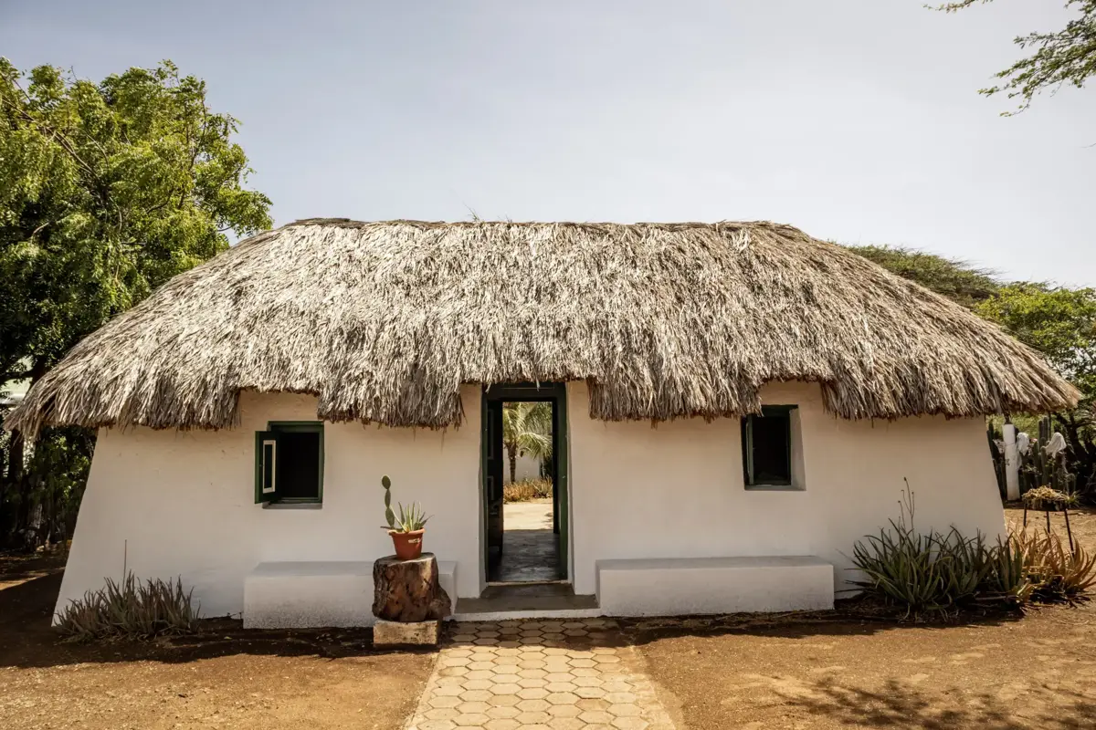 Kas di pal'i maishi - My Curacao Guide