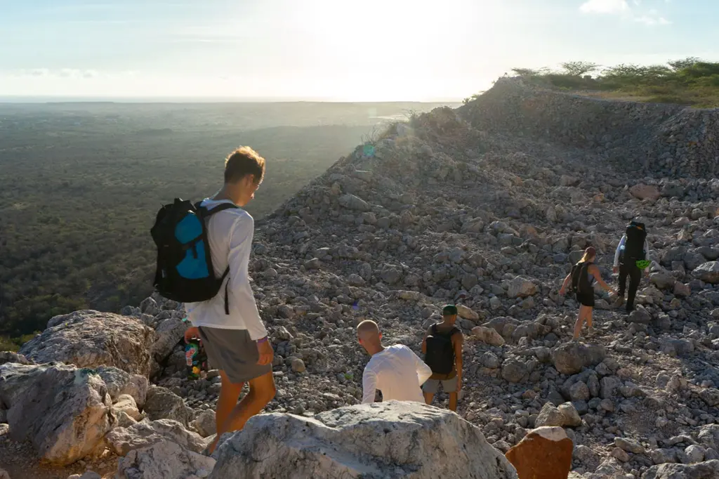 Best Hiking Tours in Curacao 2026 Compare Top Rated