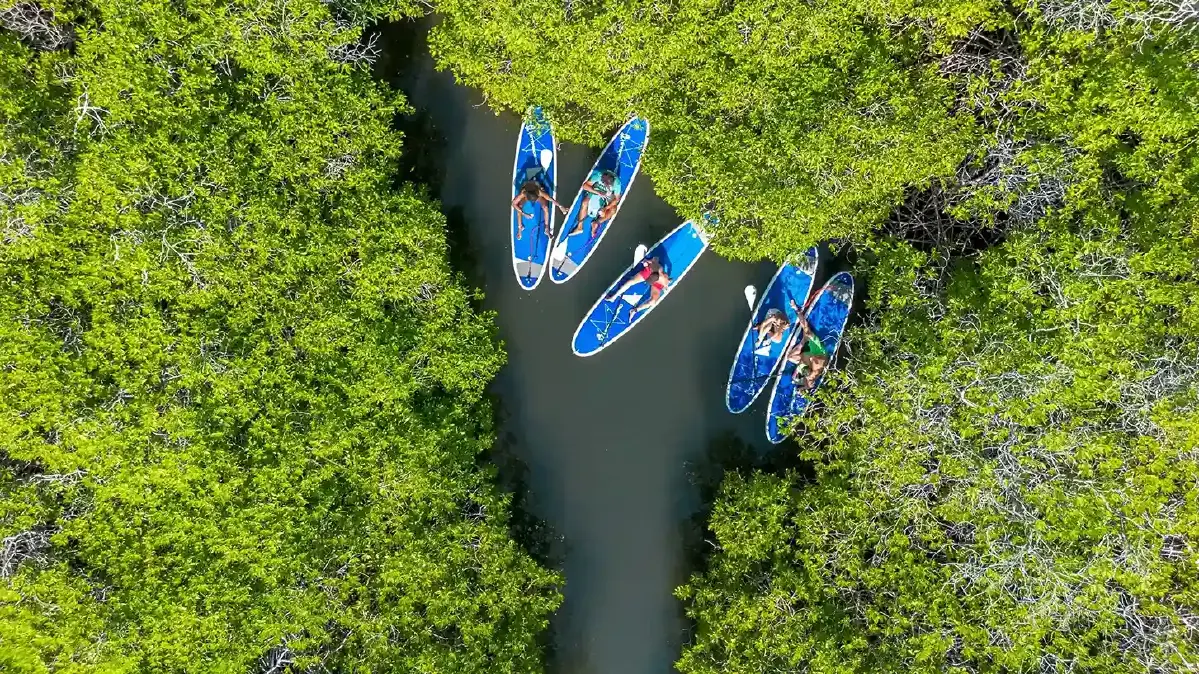 Reserva con confianza el tour en SUP por los manglares de Spanish Water ...