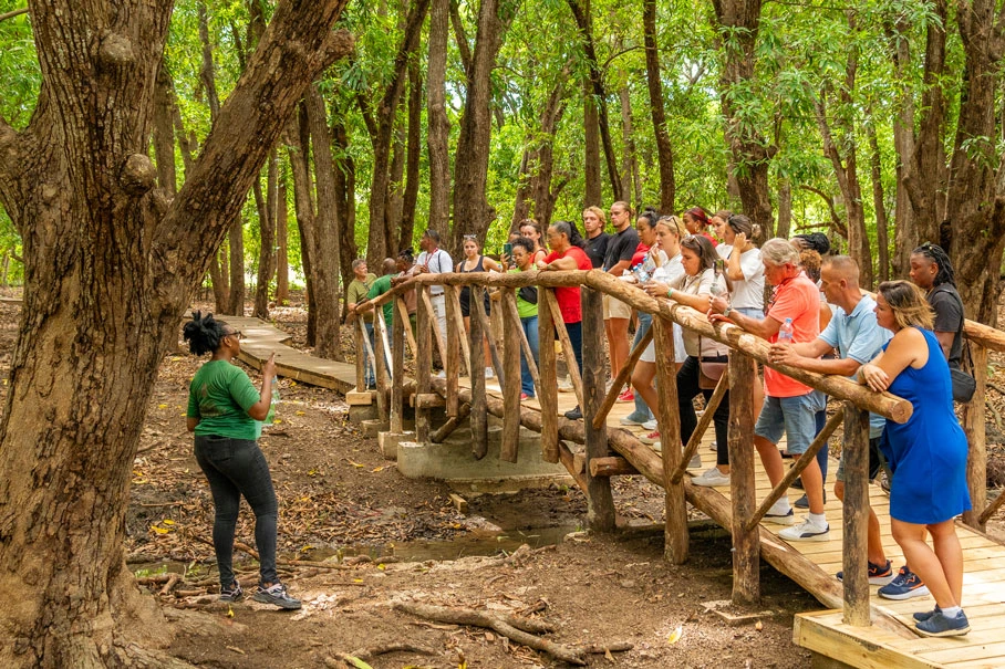 Guided Tour | Hofi Mango Curacao - My Curacao Guide