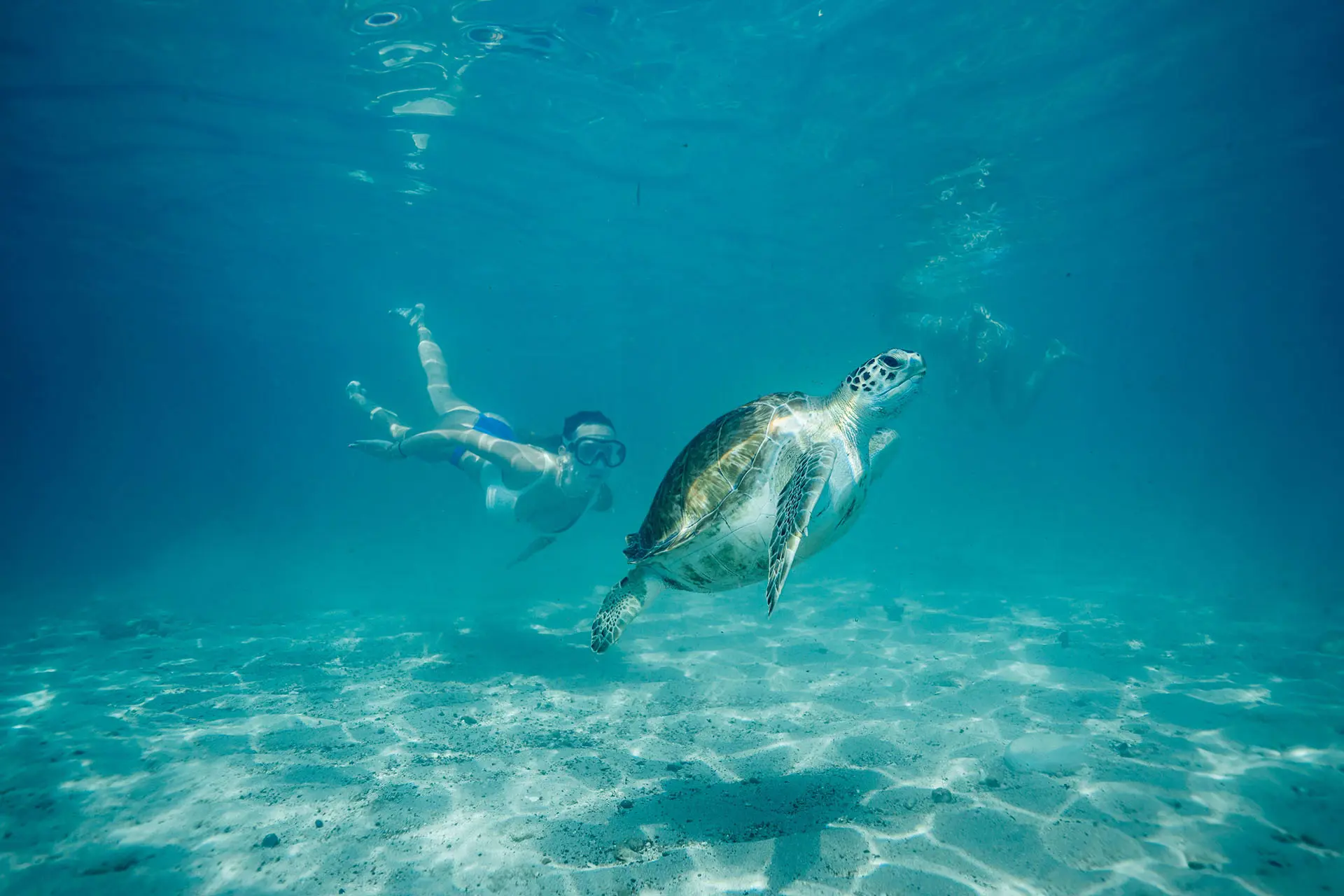 All West Beach Hopping Bus Tour | Irie Tours Curacao - My Curacao Guide