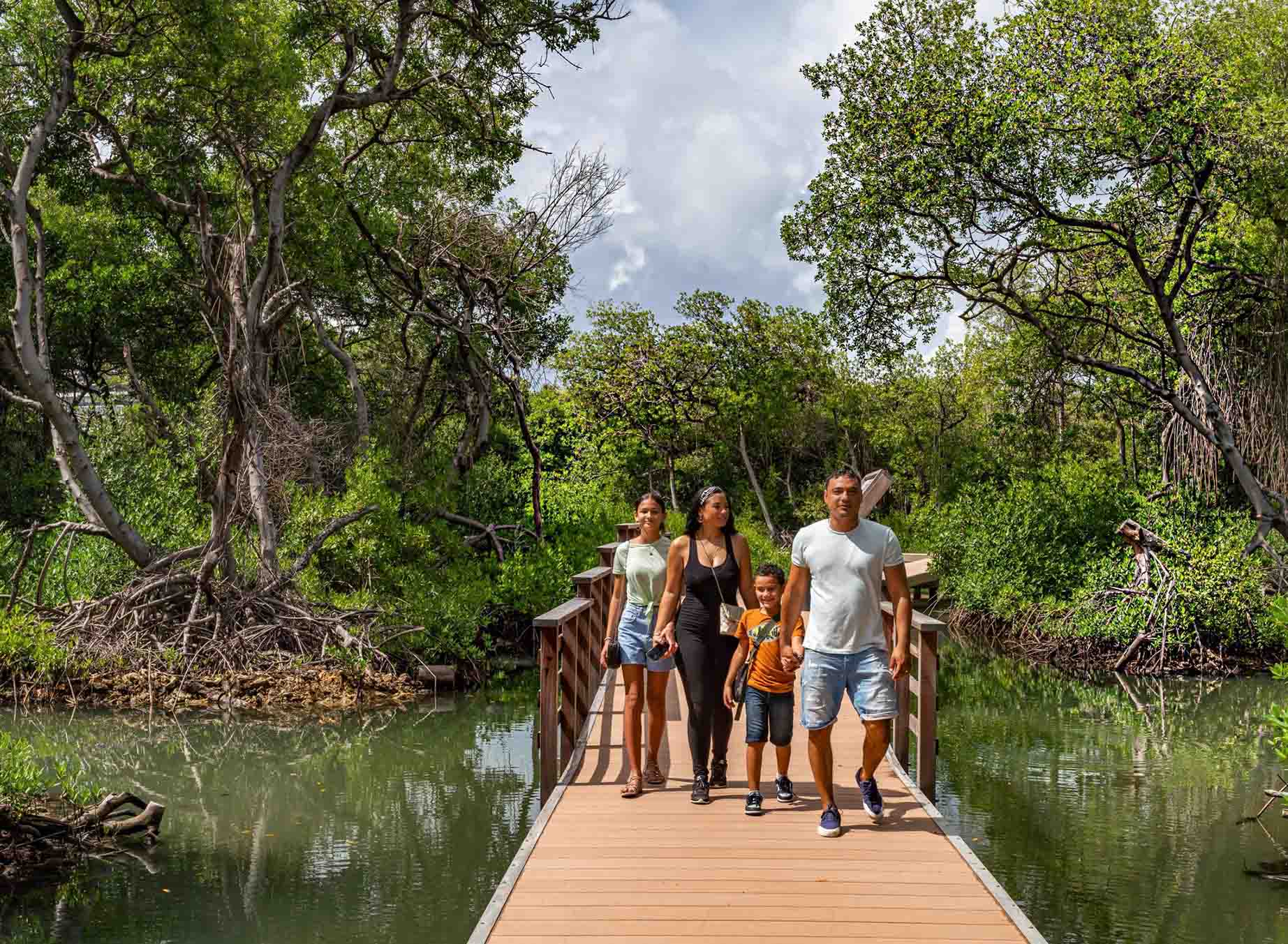 Rif Mangrove Park - My Curacao Guide