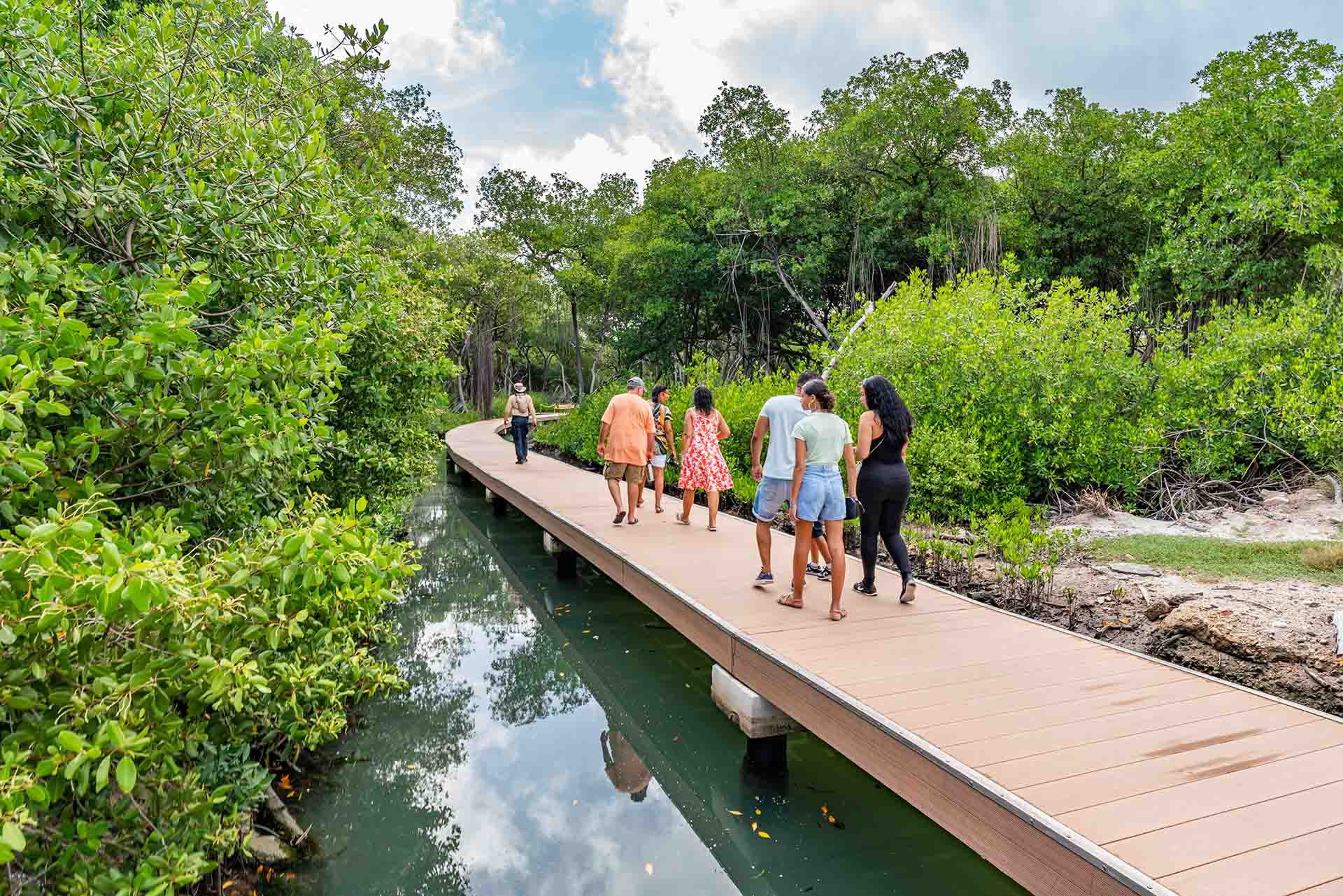 Rif Mangrove Park - My Curacao Guide