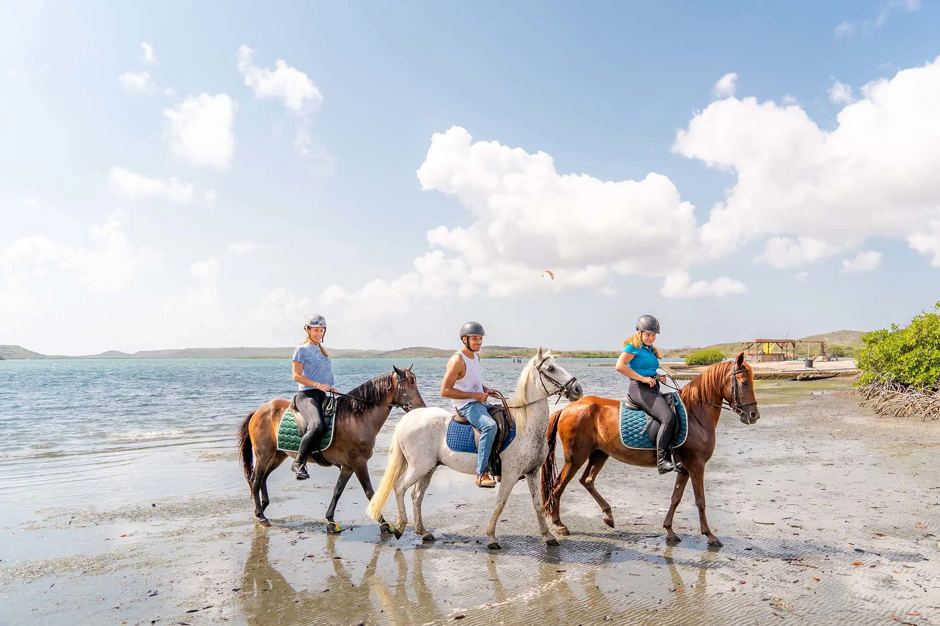 Criadero Chayen Clément - My Curacao Guide