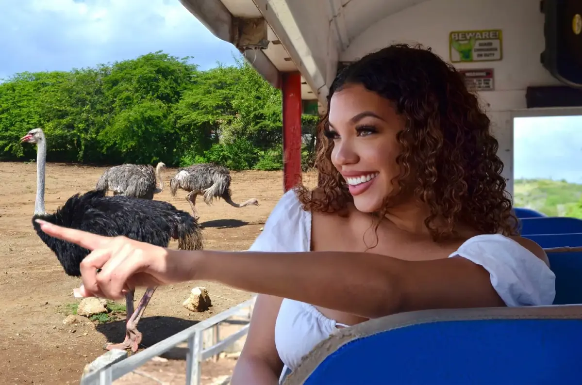 Curacao Ostrich Farm in Curacao | Safari Tour and Animals