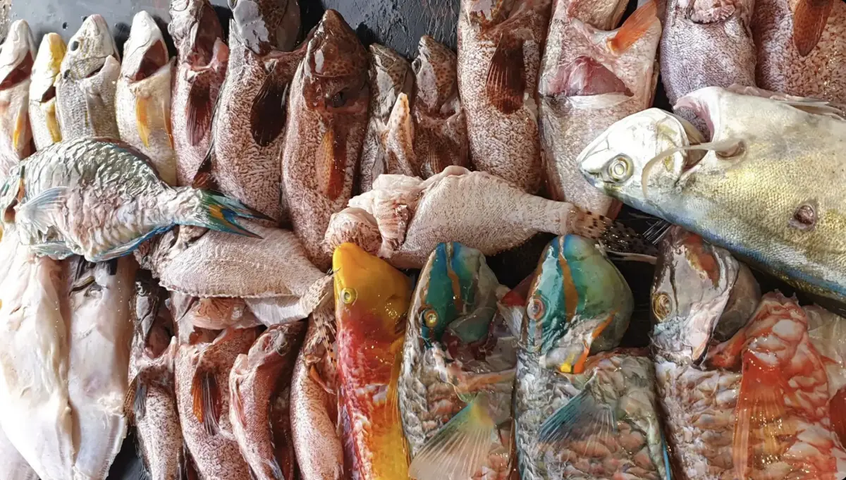 Kas Di Piskado Purunchi - My Curacao Guide