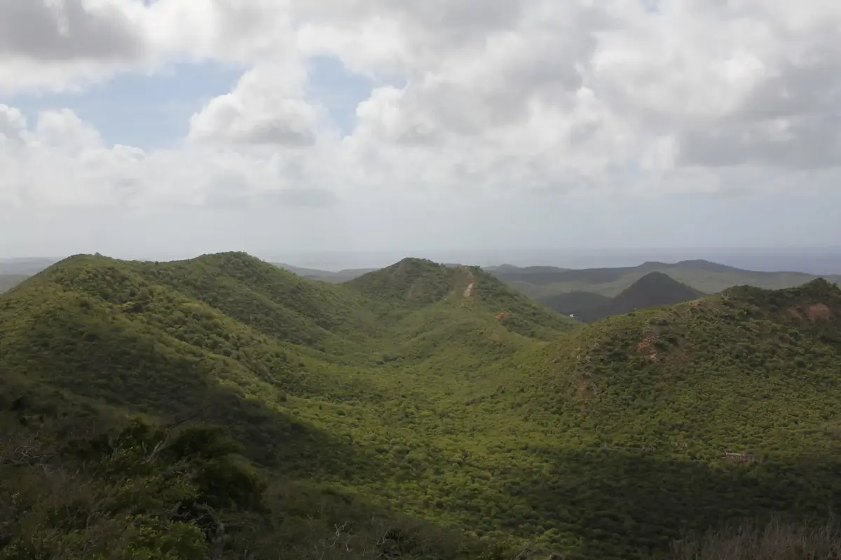 Carmabi research station - My Curacao Guide