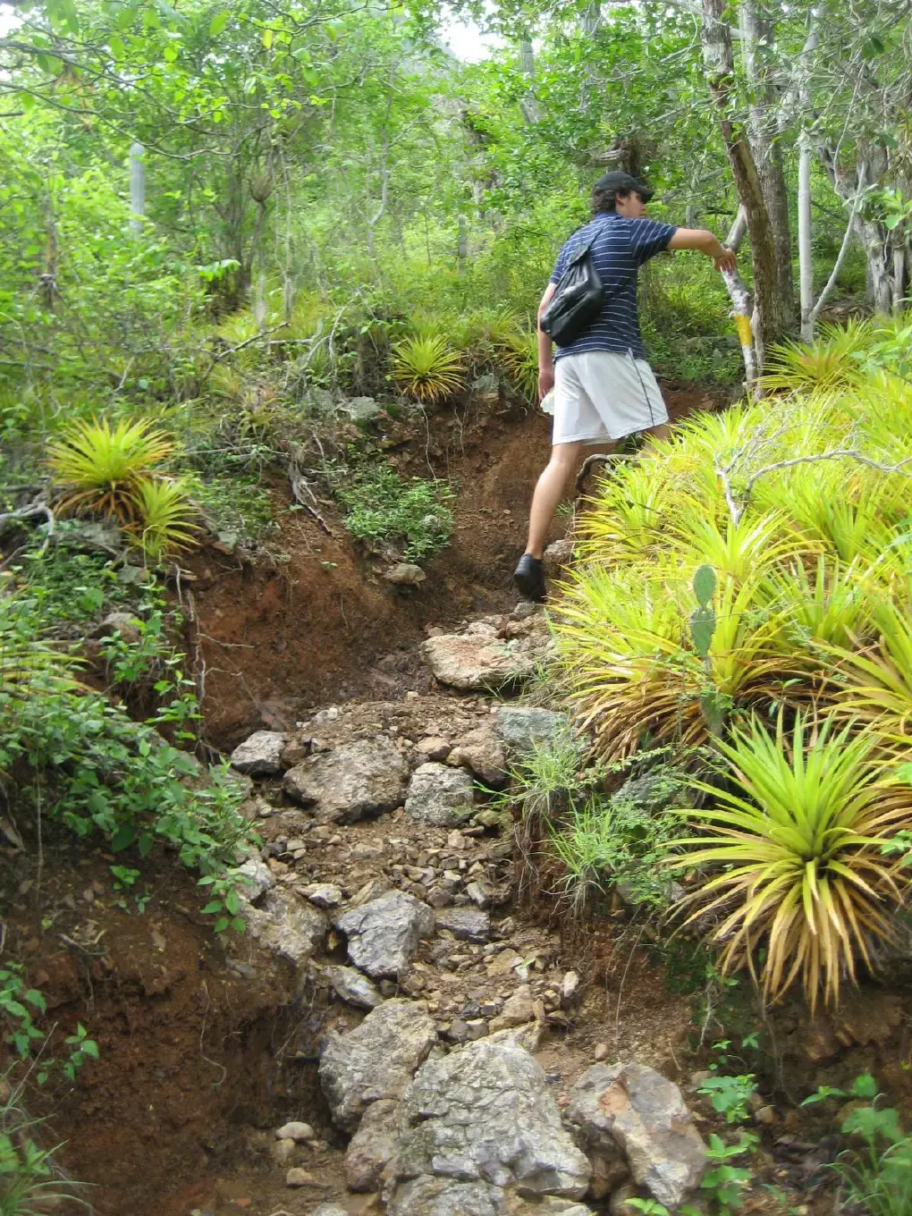 Christoffelpark - My Curacao Guide