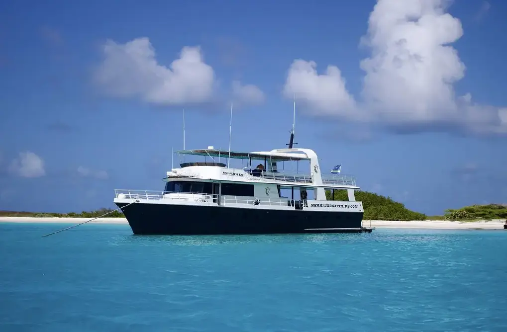 Mermaid Boat Trips - My Curacao Guide