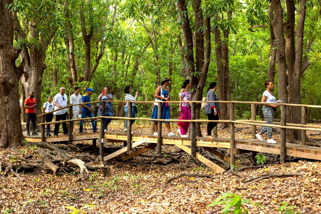 Hofi Mango - My Curacao Guide