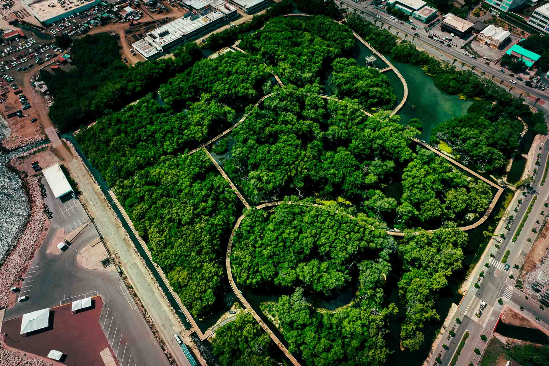 Curacao Rif Mangrove Park - My Curacao Guide