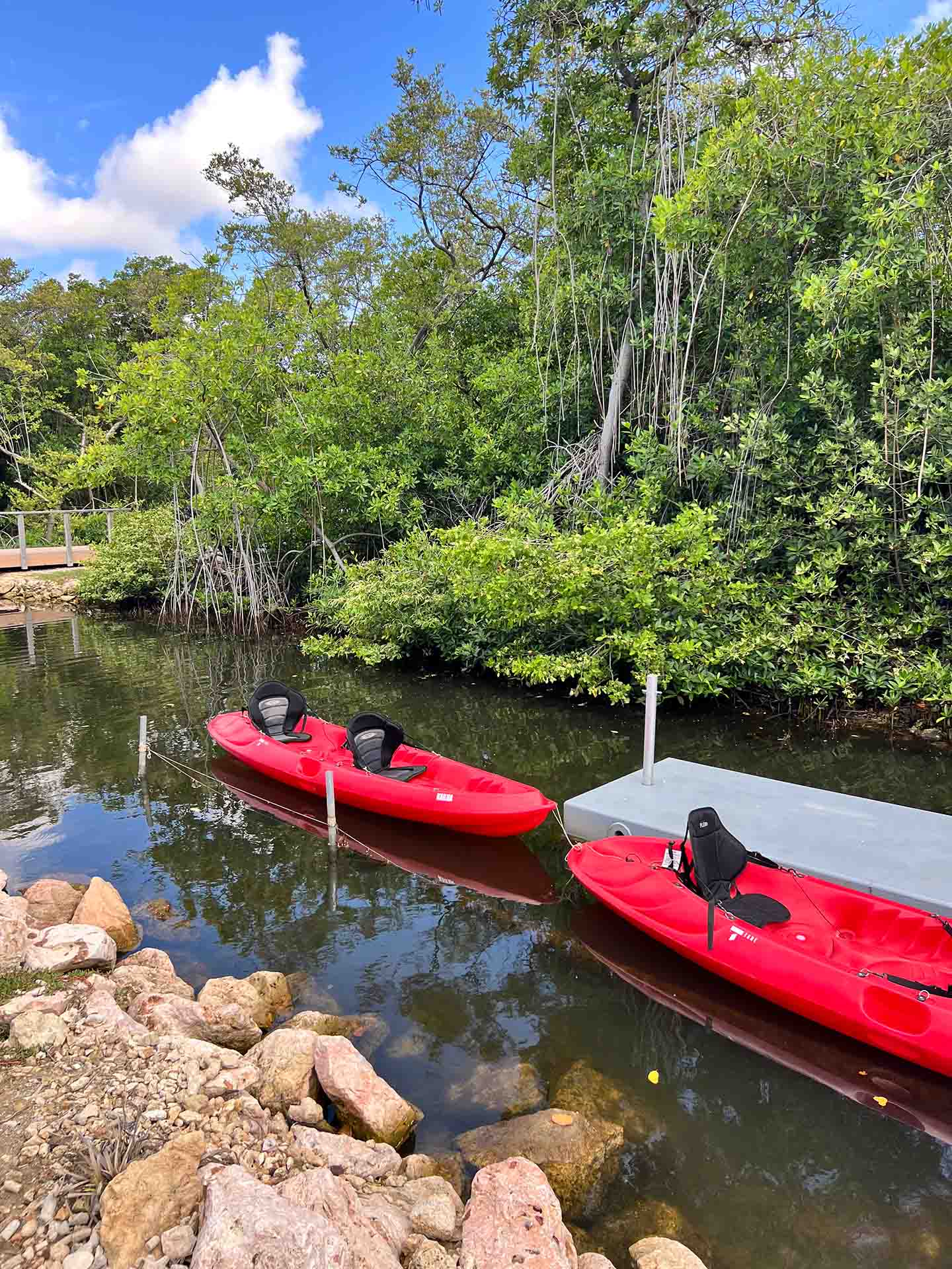 Curacao Rif Mangrove Park - My Curacao Guide